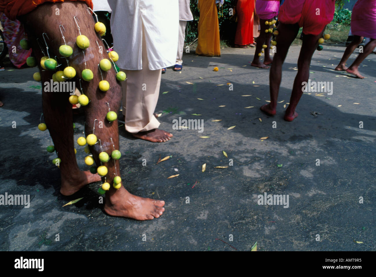 Cavadee hi-res stock photography and images - Alamy