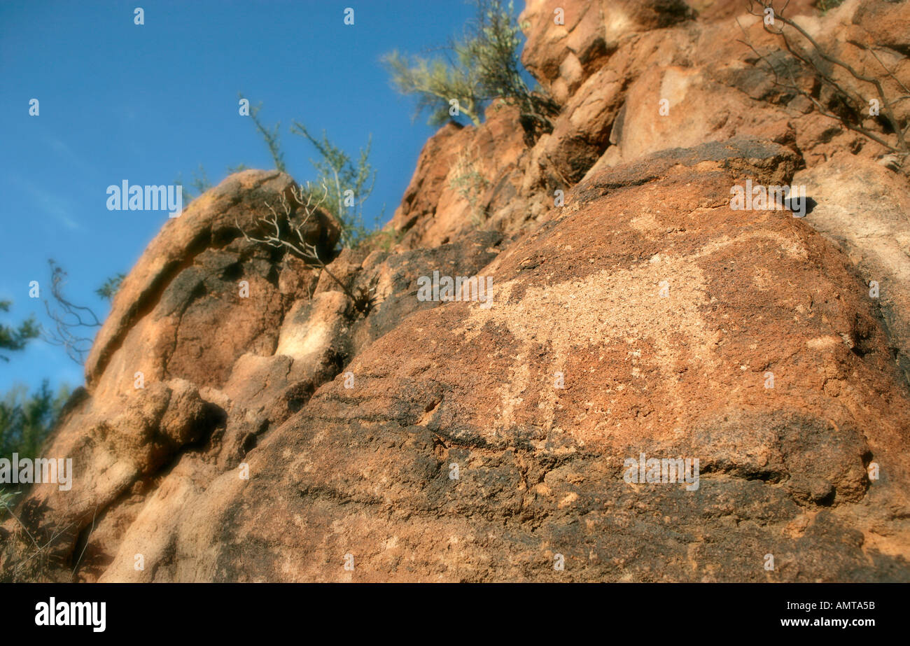 Hohokam Indian petroglyphs at a site called Picture Rocks in southern ...