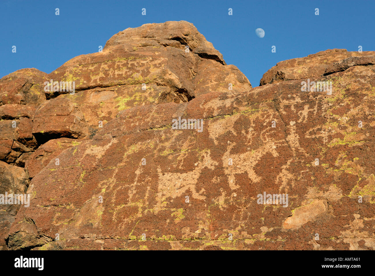 Hohokam Indian petroglyphs at a site called Picture Rocks in southern ...