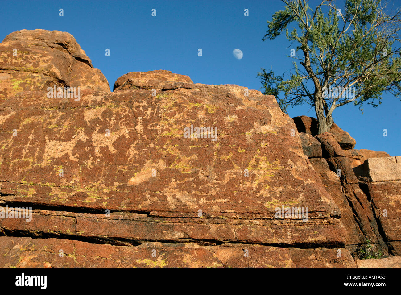 Hohokam Indian petroglyphs at a site called Picture Rocks in southern ...