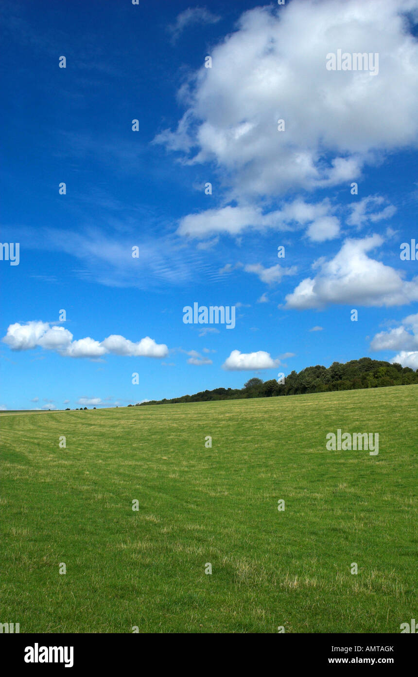 UK countryside blue sky with fluffly clouds Stock Photo - Alamy