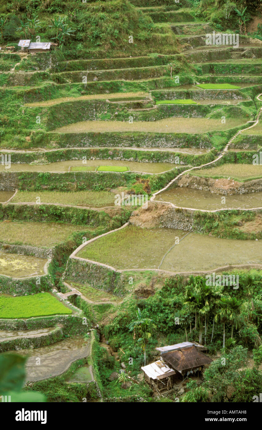 Ifugao rice house hi-res stock photography and images - Alamy