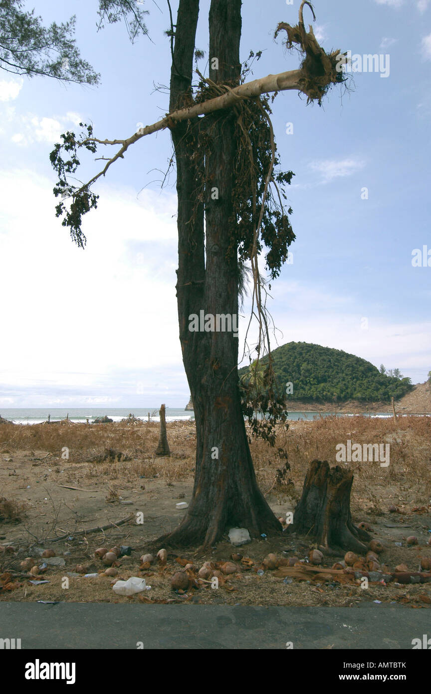 Tsunami damage banda aceh hi-res stock photography and images - Alamy