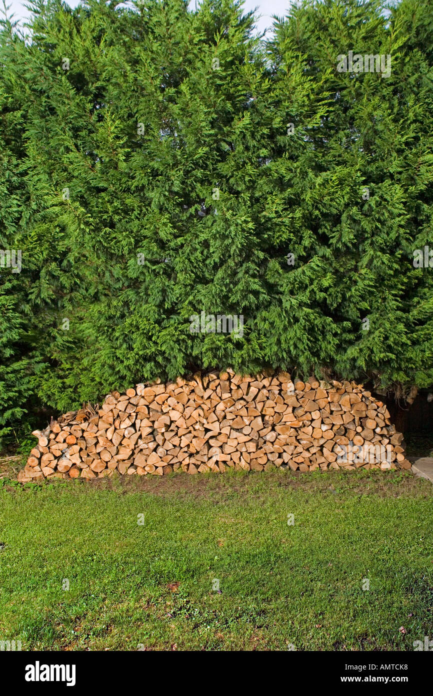 Timber log store under hi-res stock photography and images - Alamy