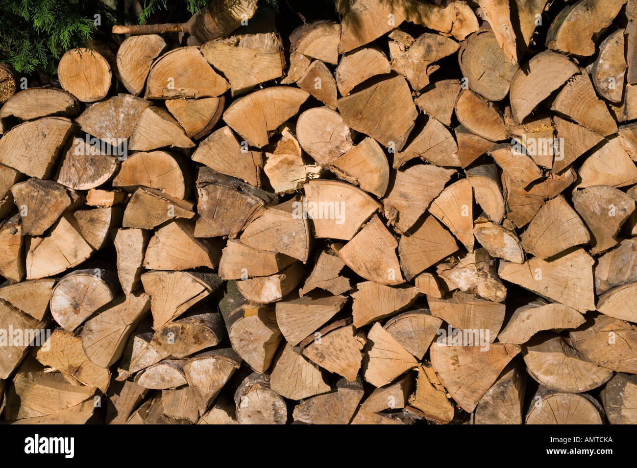 Timber log store under hi-res stock photography and images - Alamy
