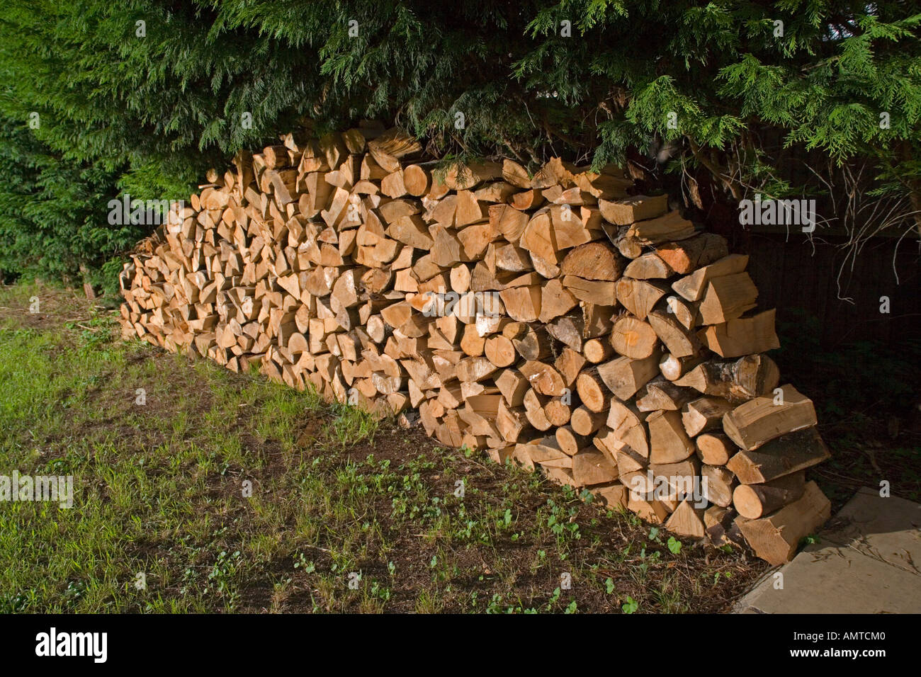 Wood logs stacked under log hi-res stock photography and images - Alamy