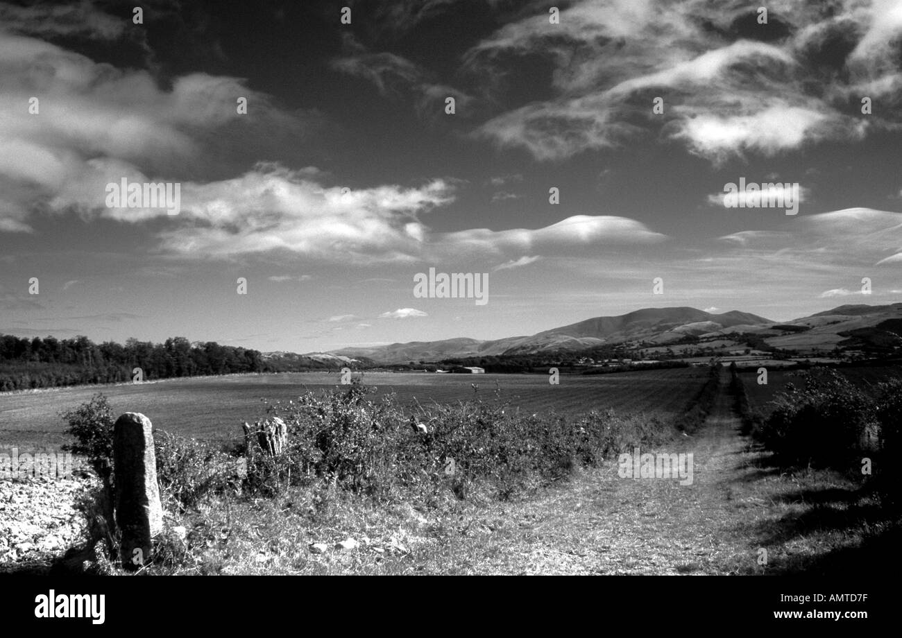 Rural agricultural scene Lake District Cumbria Stock Photo - Alamy