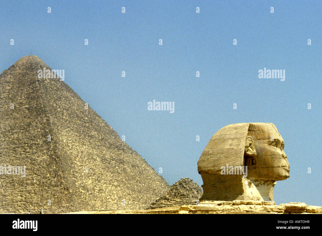 The sphinx at Giza Stock Photo - Alamy