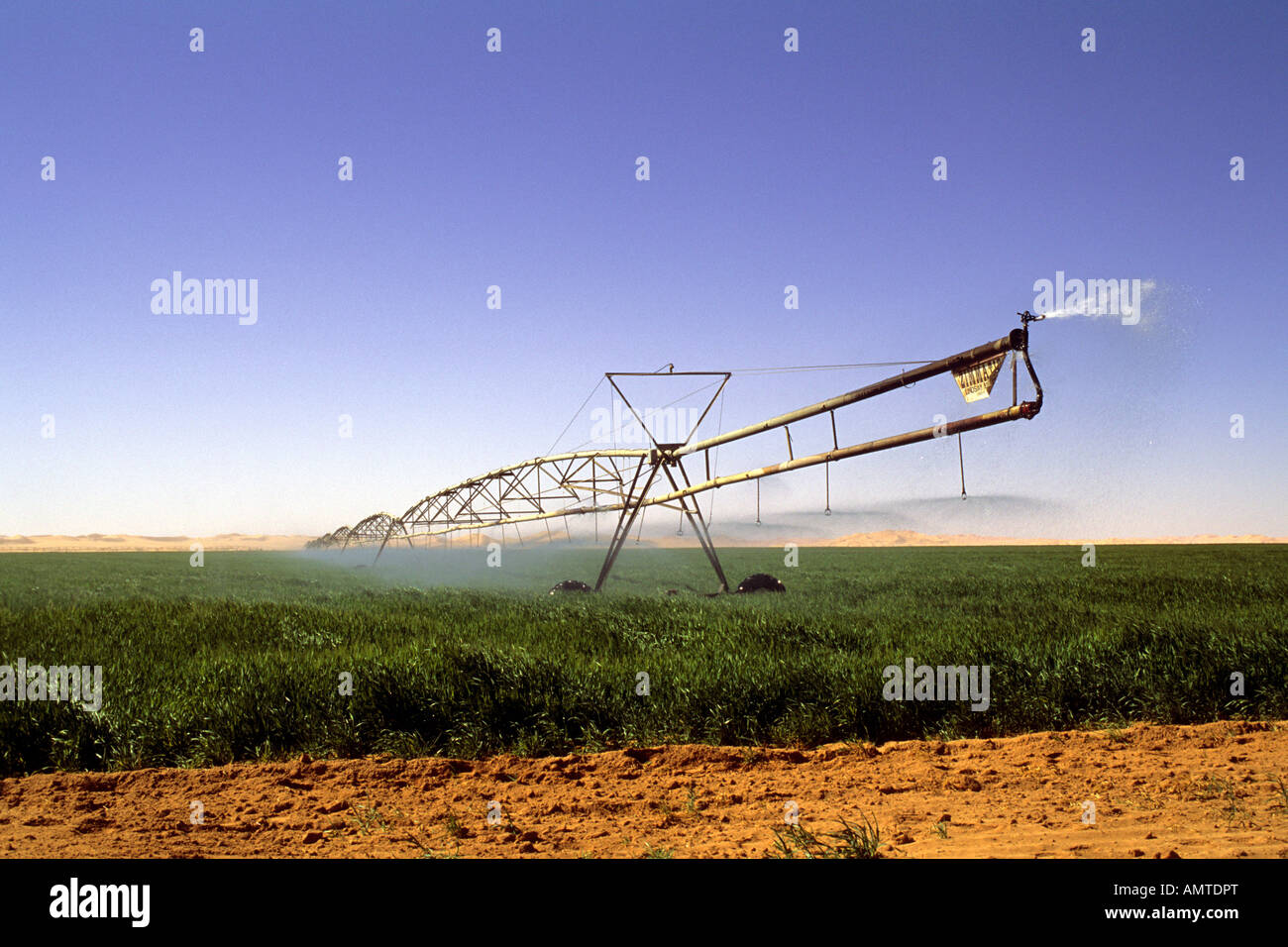 Irrigating a man-made oasis in the Libyan desert Stock Photo - Alamy