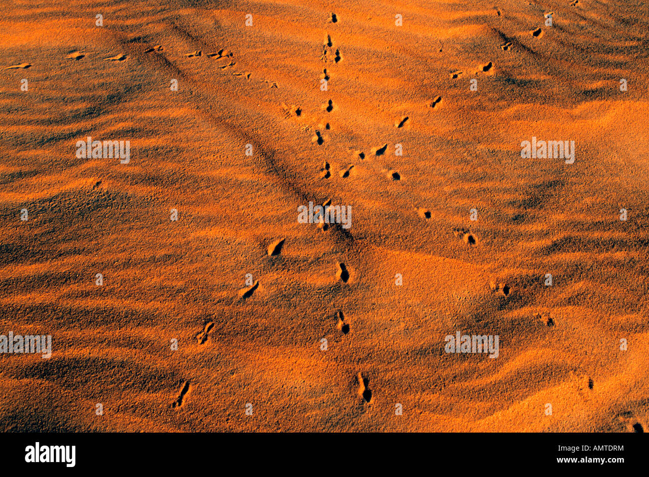 Animal crossing texture hi-res stock photography and images - Alamy