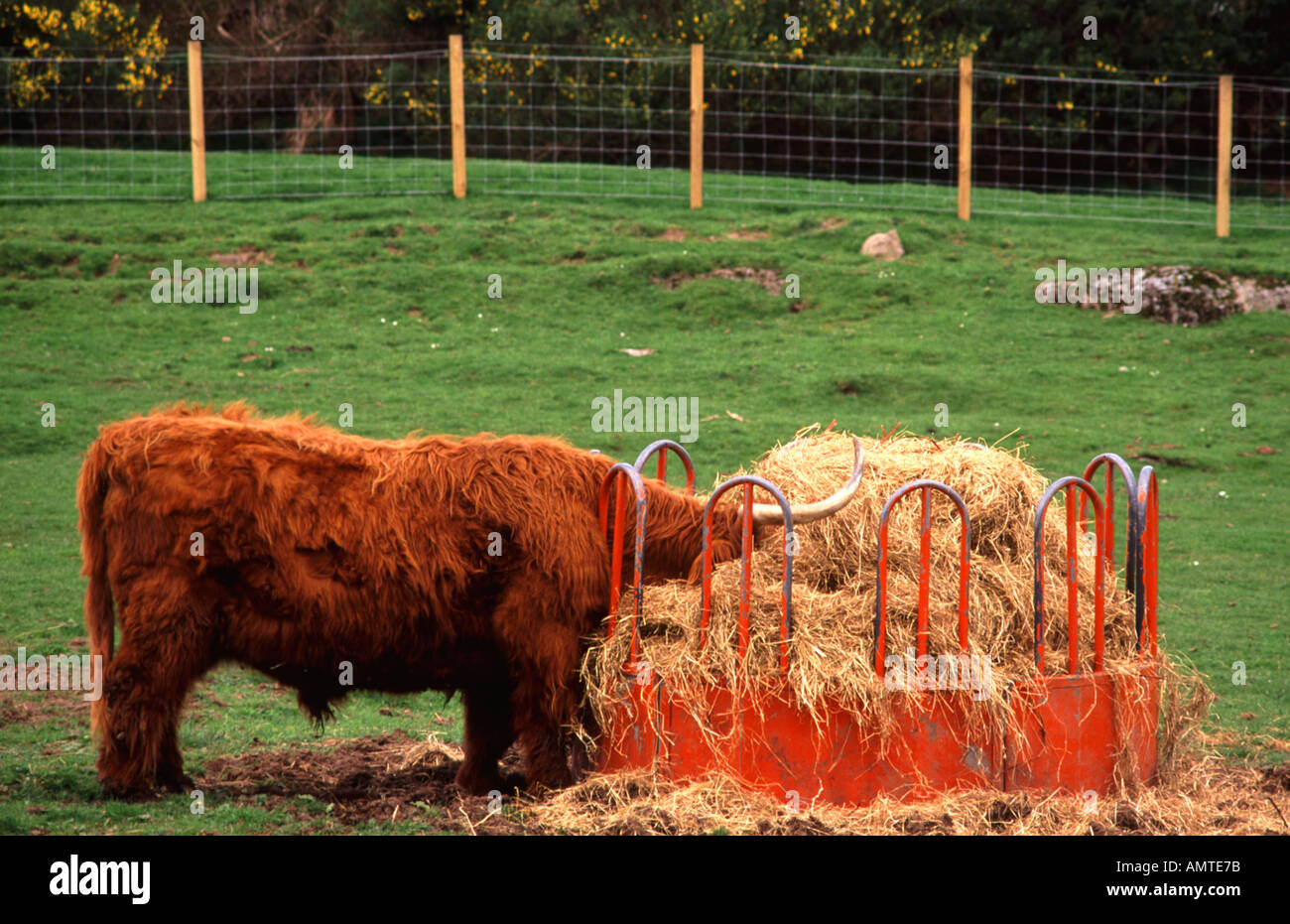 Head buried hi-res stock photography and images - Alamy