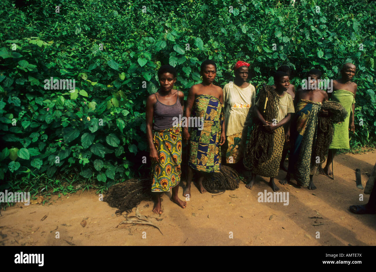Group of pygmy women standing on the forest margin with nets waiting to ...