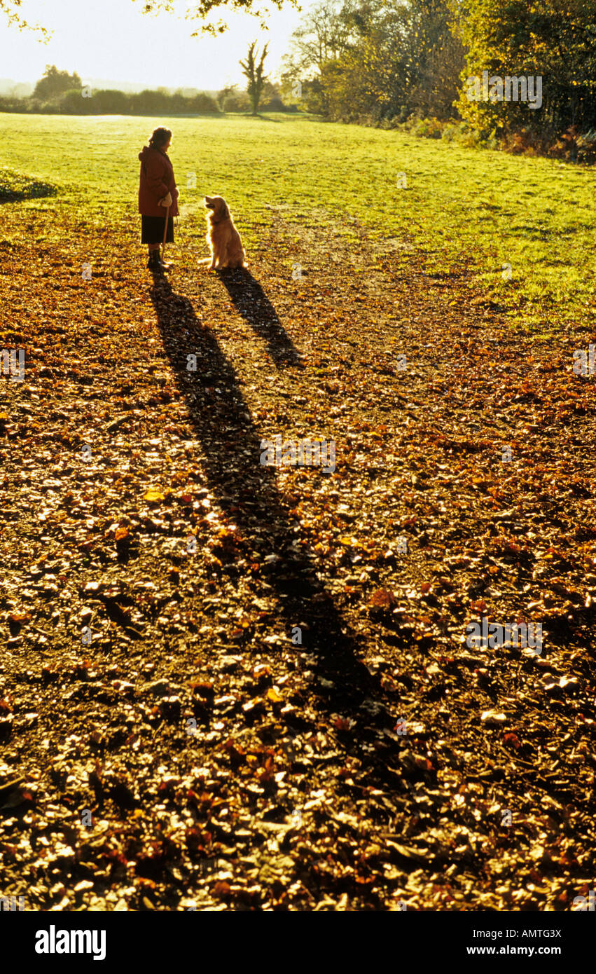 Woman training a golden retriever dog in obedience at the edge of a ...