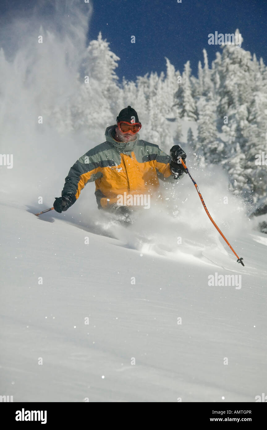 Skiing fresh powder revelstoke mountain resort British Columbia Canada ...