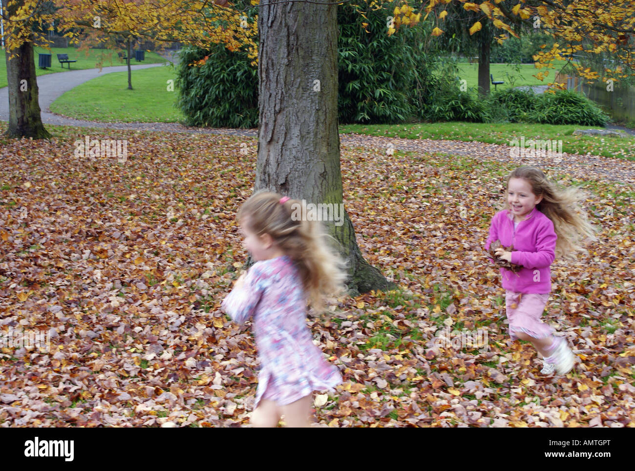 Twin girls chasing each other around a tree in autumn Stock Photo - Alamy