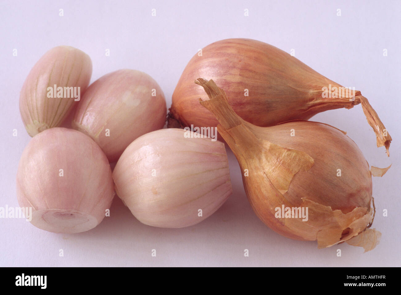 Aggregatum hi-res stock photography and images - Alamy