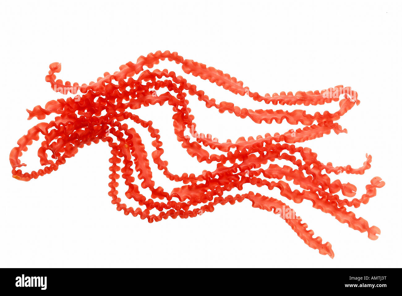 Beetroots cut in strings on a white background Stock Photo - Alamy