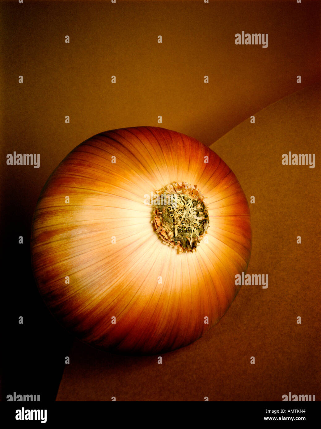 Still life abstraction of onion explores colour shape and natural forms ...