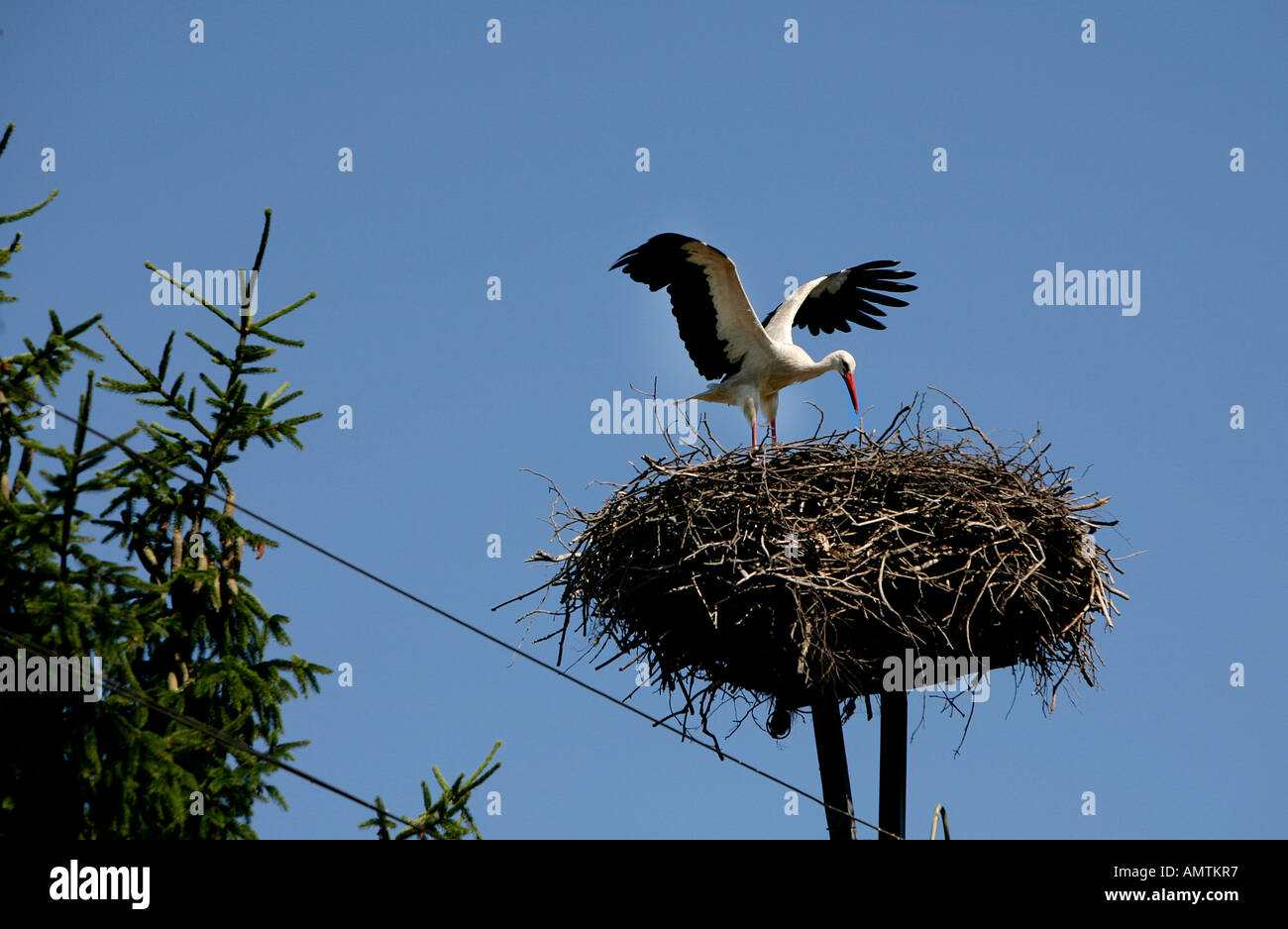 Images are being monitored hi-res stock photography and images - Alamy