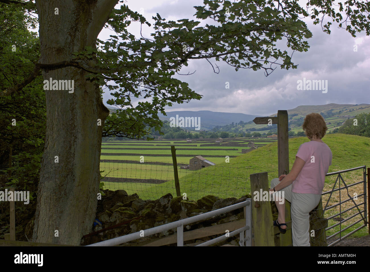 Swale Dale Gunnerside Yorkshire Dales National Park Yorkshire August ...