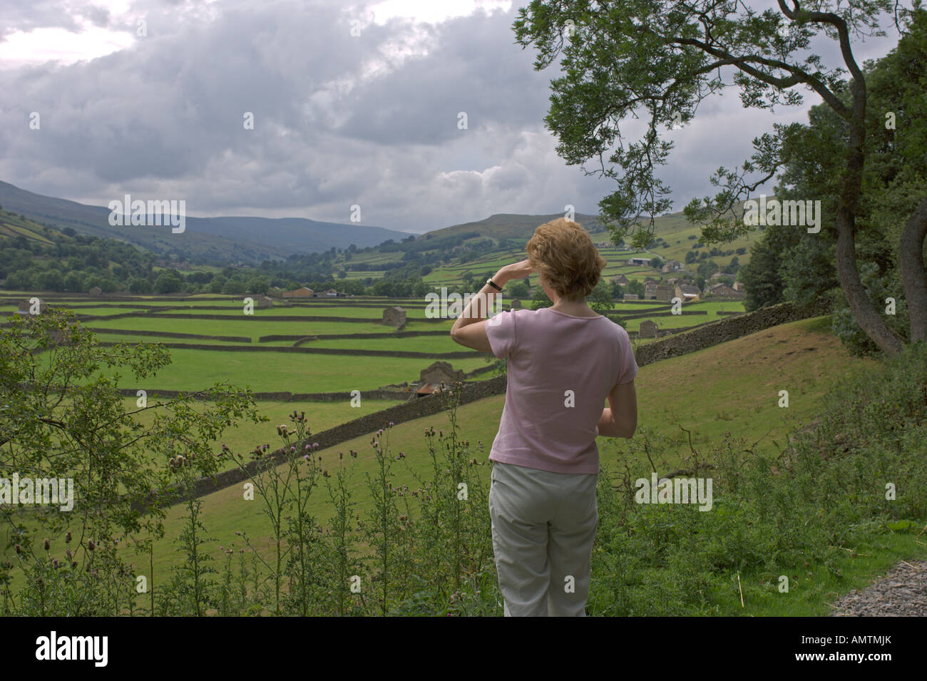 Swale Dale Gunnerside Yorkshire Dales National Park Yorkshire August ...