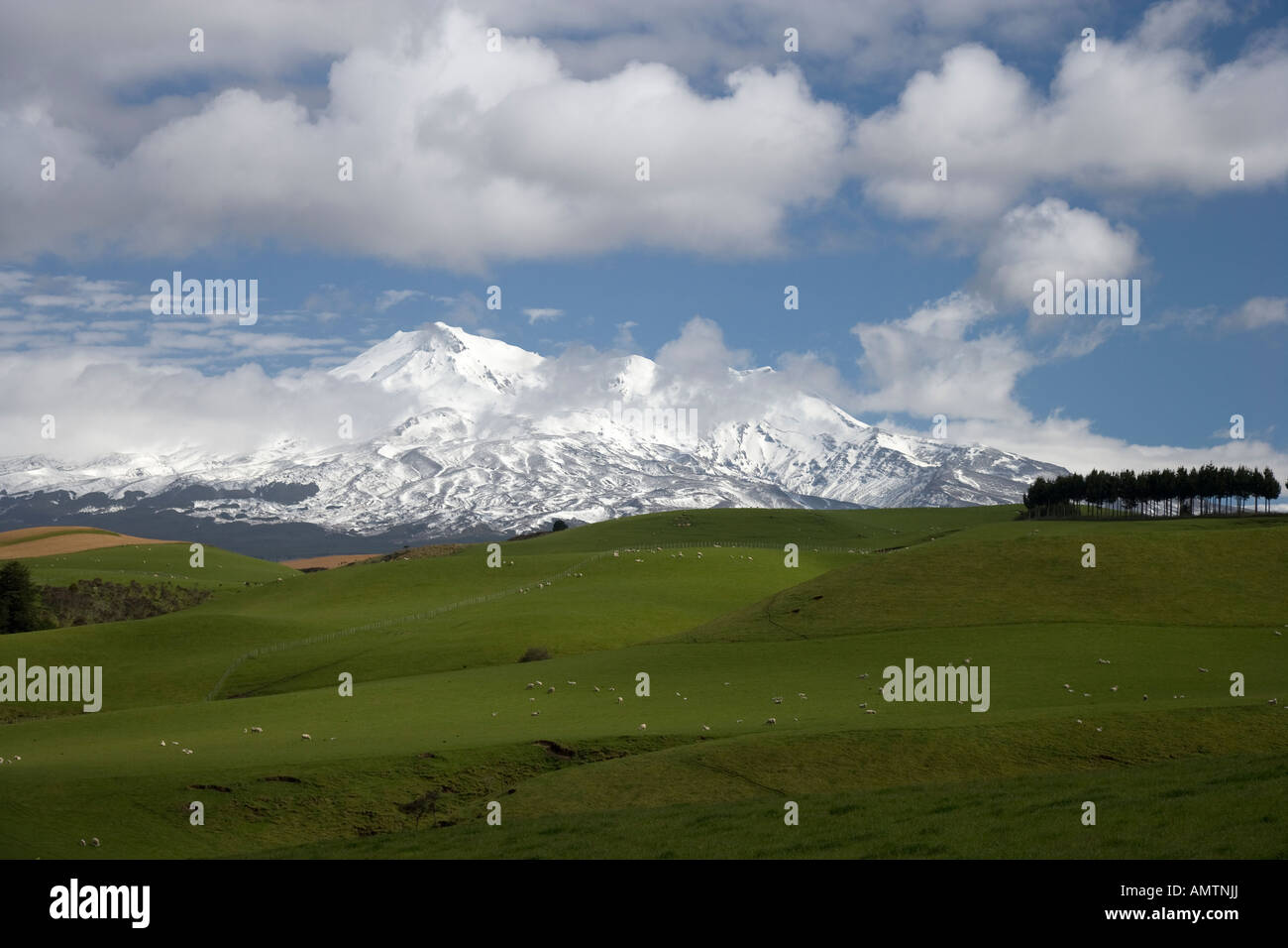 Snow covered Mount Ruapehu volcano, New Zealand Stock Photo - Alamy