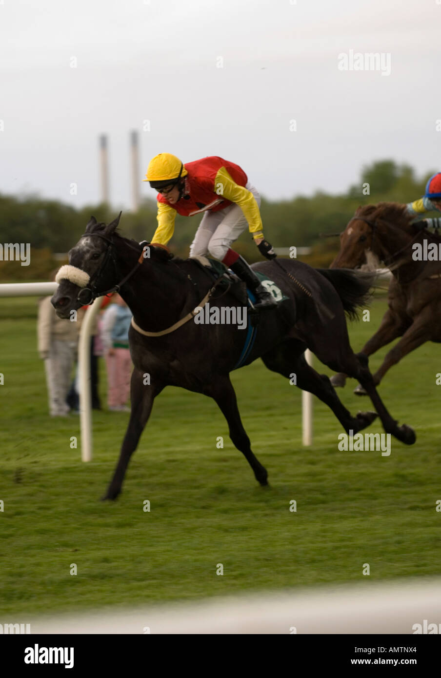 Musselburgh horse racing hi-res stock photography and images - Alamy