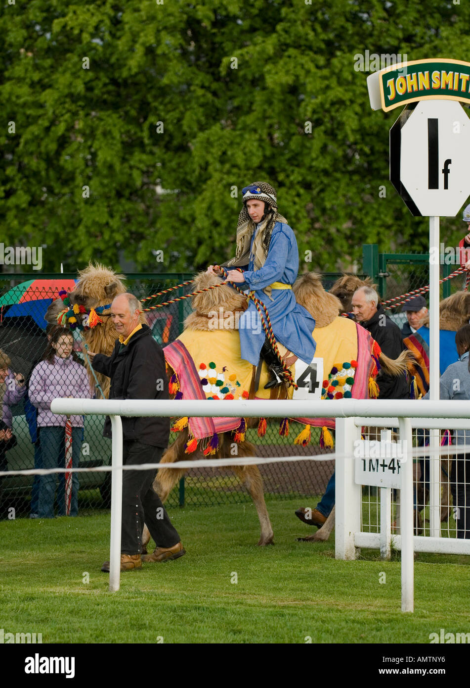 Camel racecourse hi-res stock photography and images - Alamy