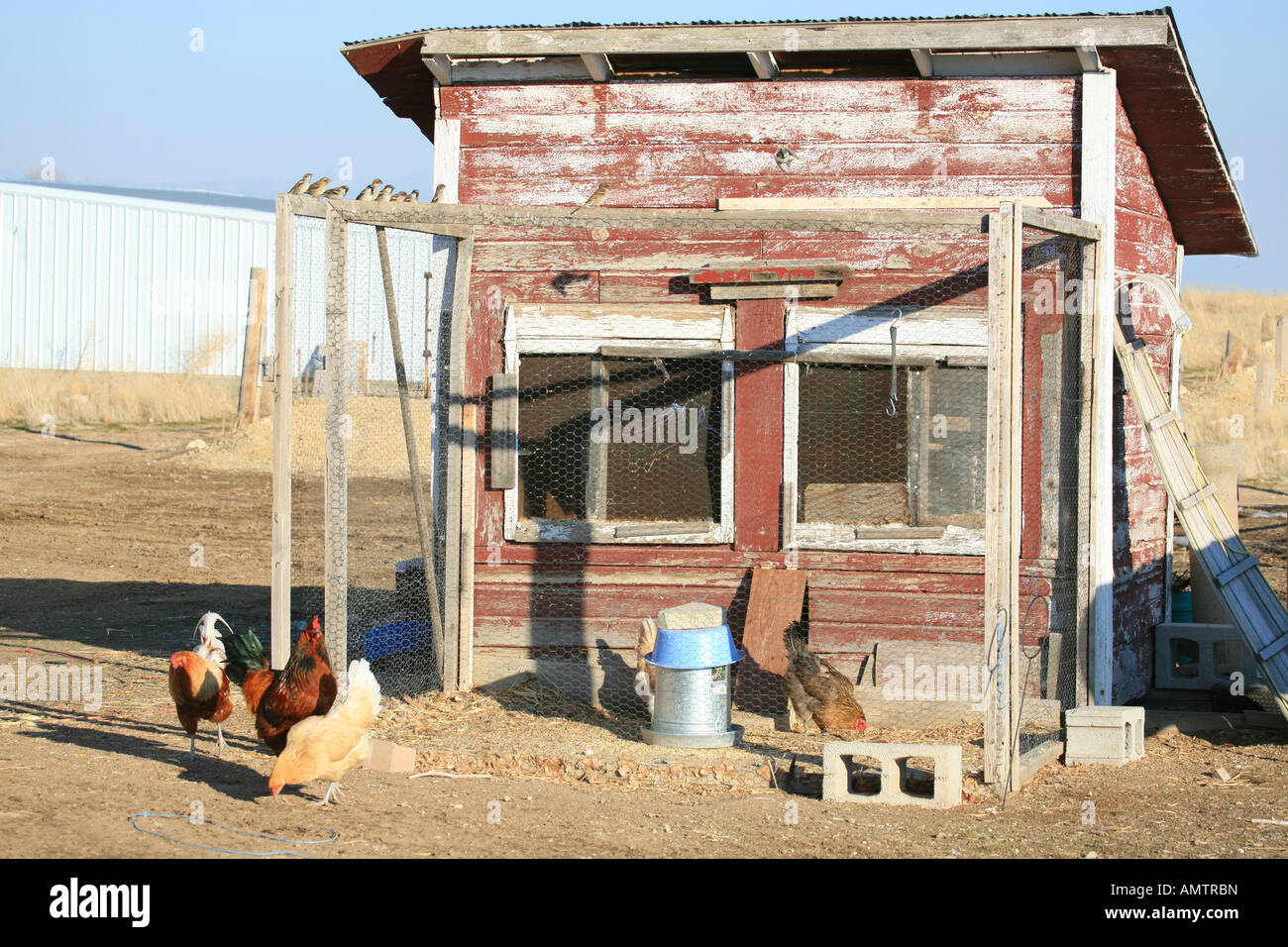 Old chicken coop hi-res stock photography and images - Alamy