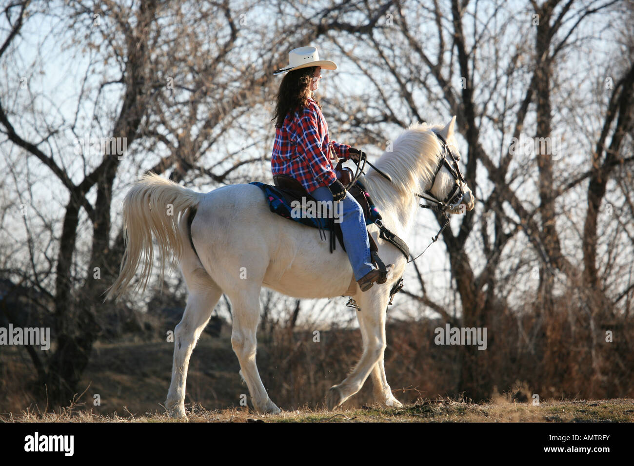 Girls Riding Arabian Horses