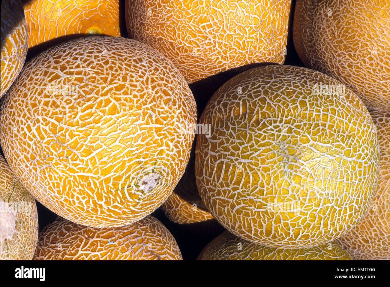 Melons ripe and ready for sale Stock Photo - Alamy