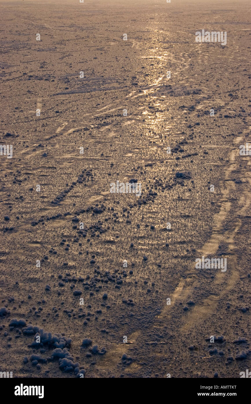 Frozen surface of the Feder Lake, Bad Buchau, Germany Stock Photo - Alamy