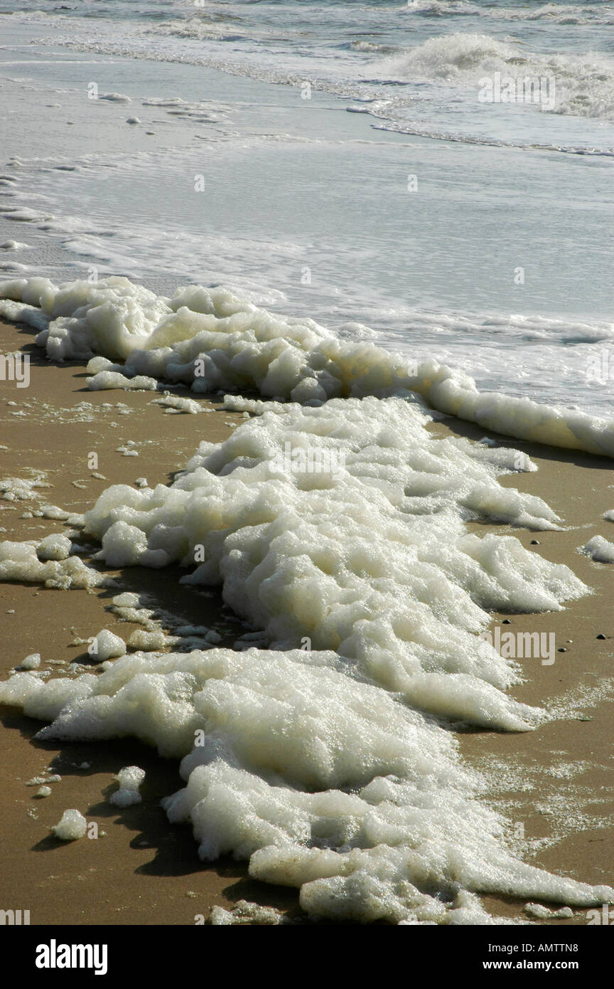 Foam formation through wind and waves, North Sea Stock Photo - Alamy