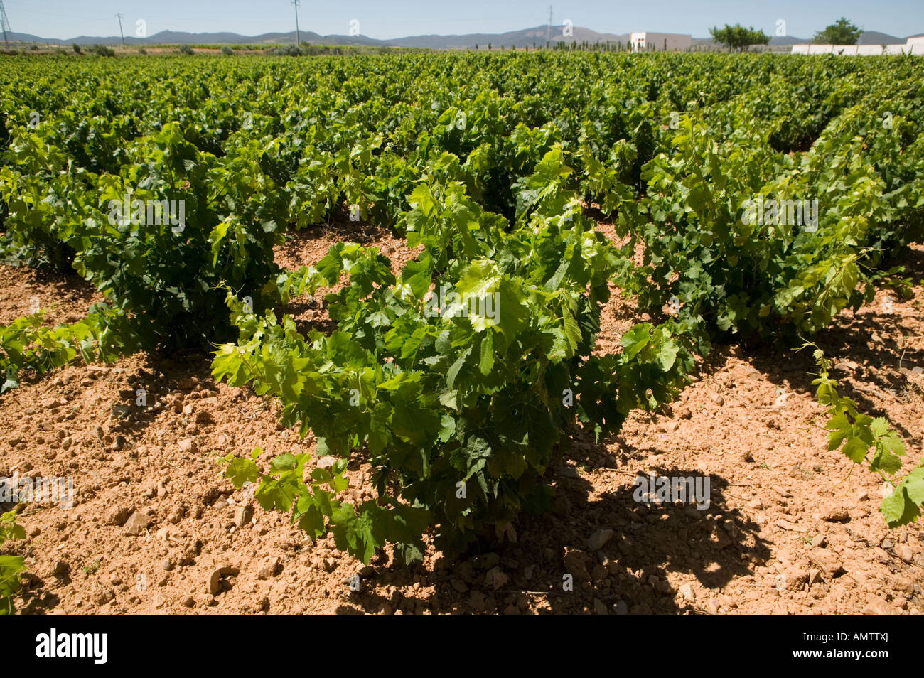 Agriculture in spain hi-res stock photography and images - Alamy
