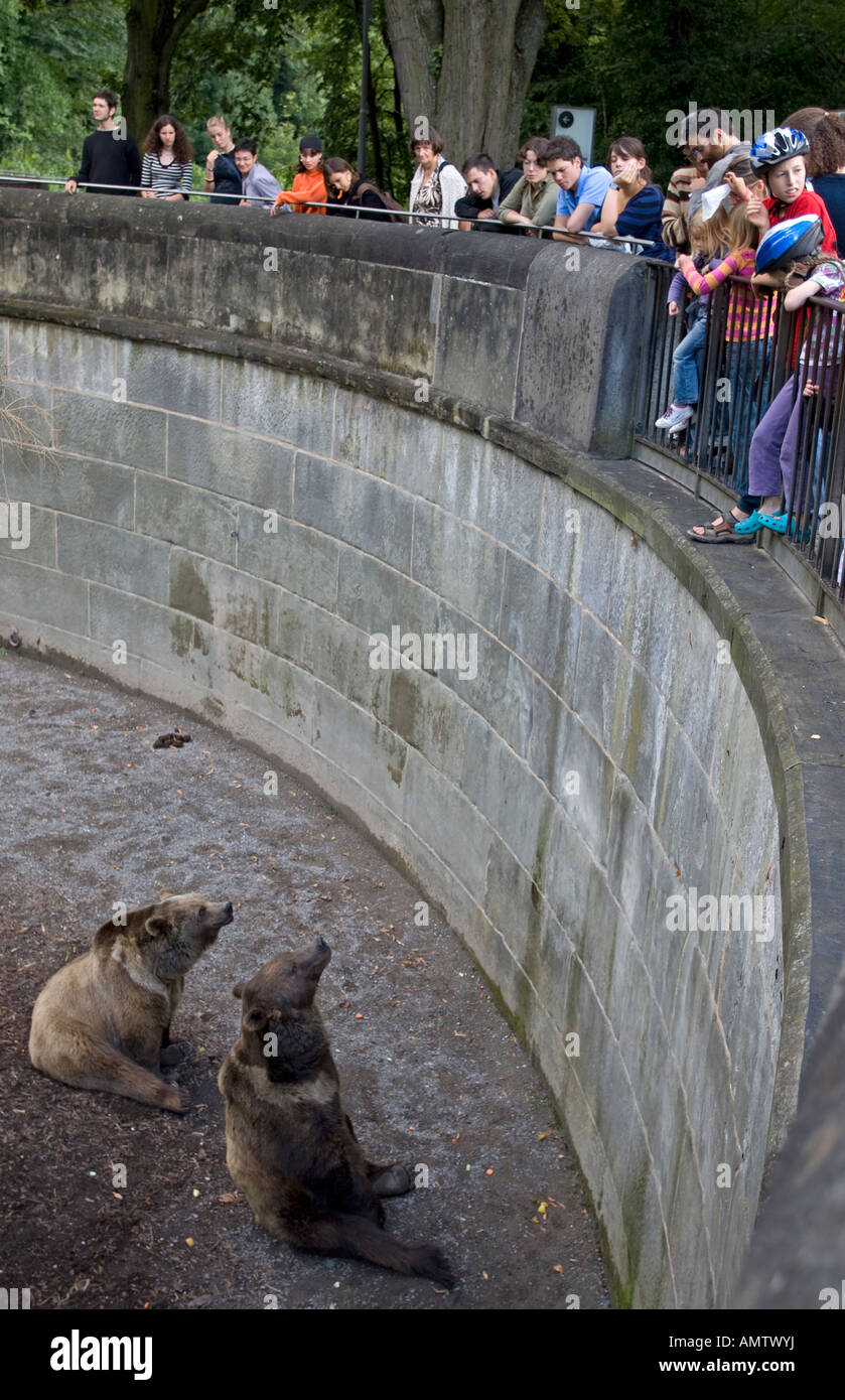 Tourists looking down at bears in bear pit, bern,Switzerland Stock ...