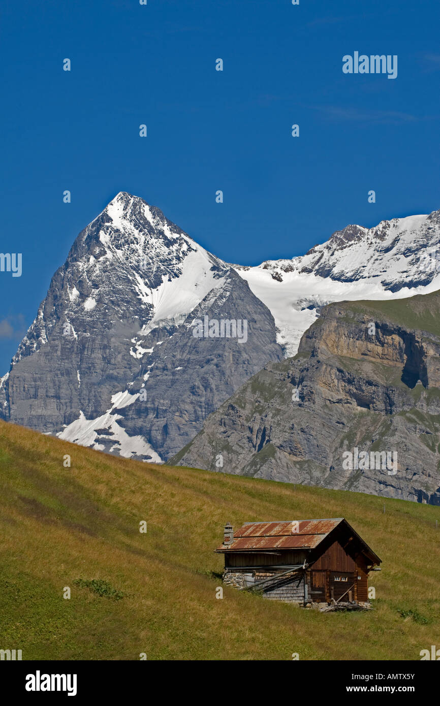 Old style swiss chalet in Mountains of switzerland Stock Photo - Alamy