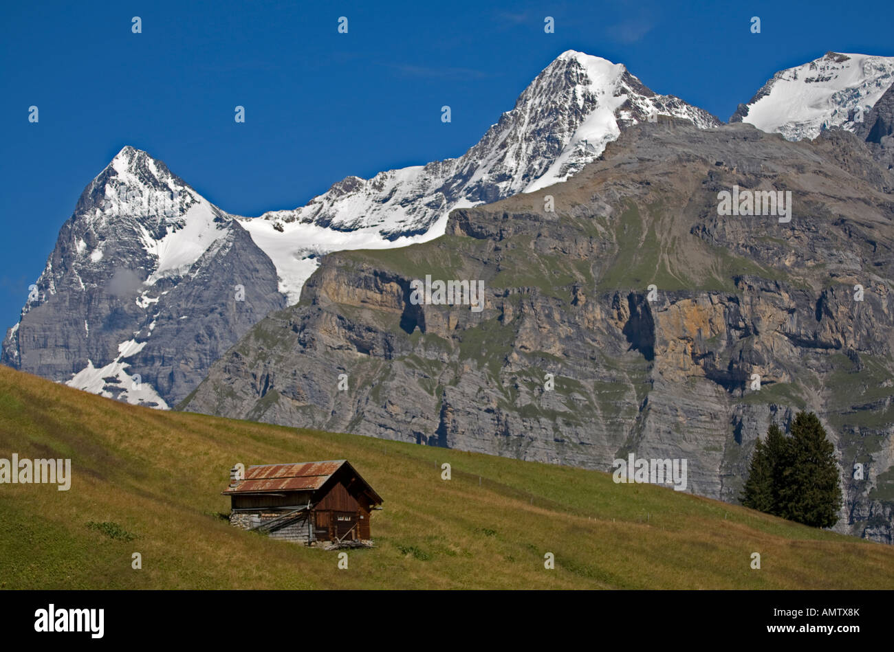 Old style swiss chalet in Mountains of switzerland Stock Photo - Alamy