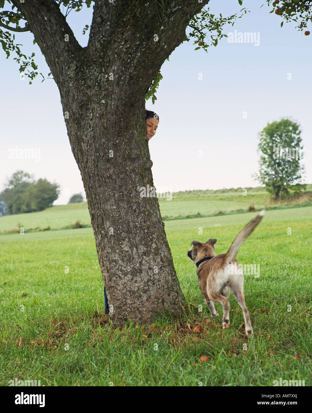 Human tree hybrids hi-res stock photography and images - Alamy