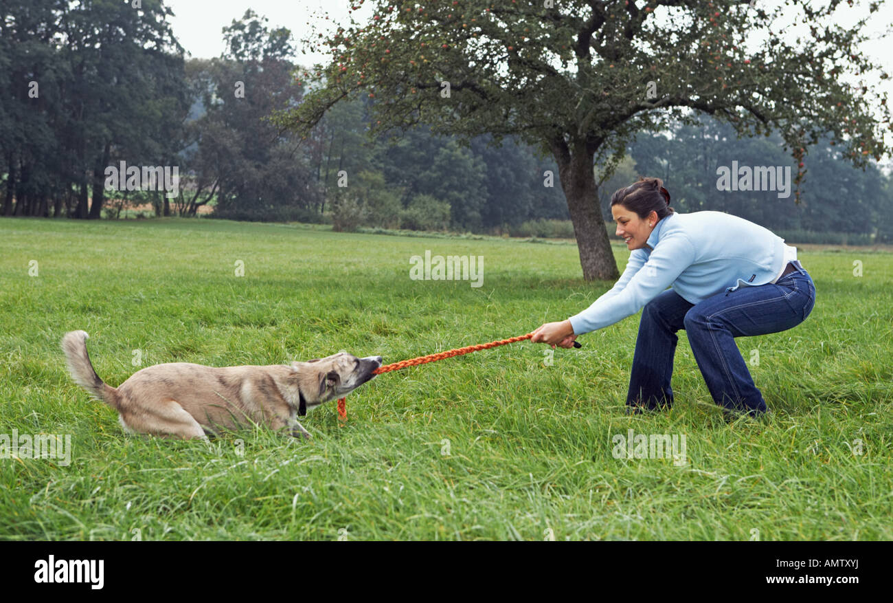 half breed dog and woman - playing Stock Photo - Alamy