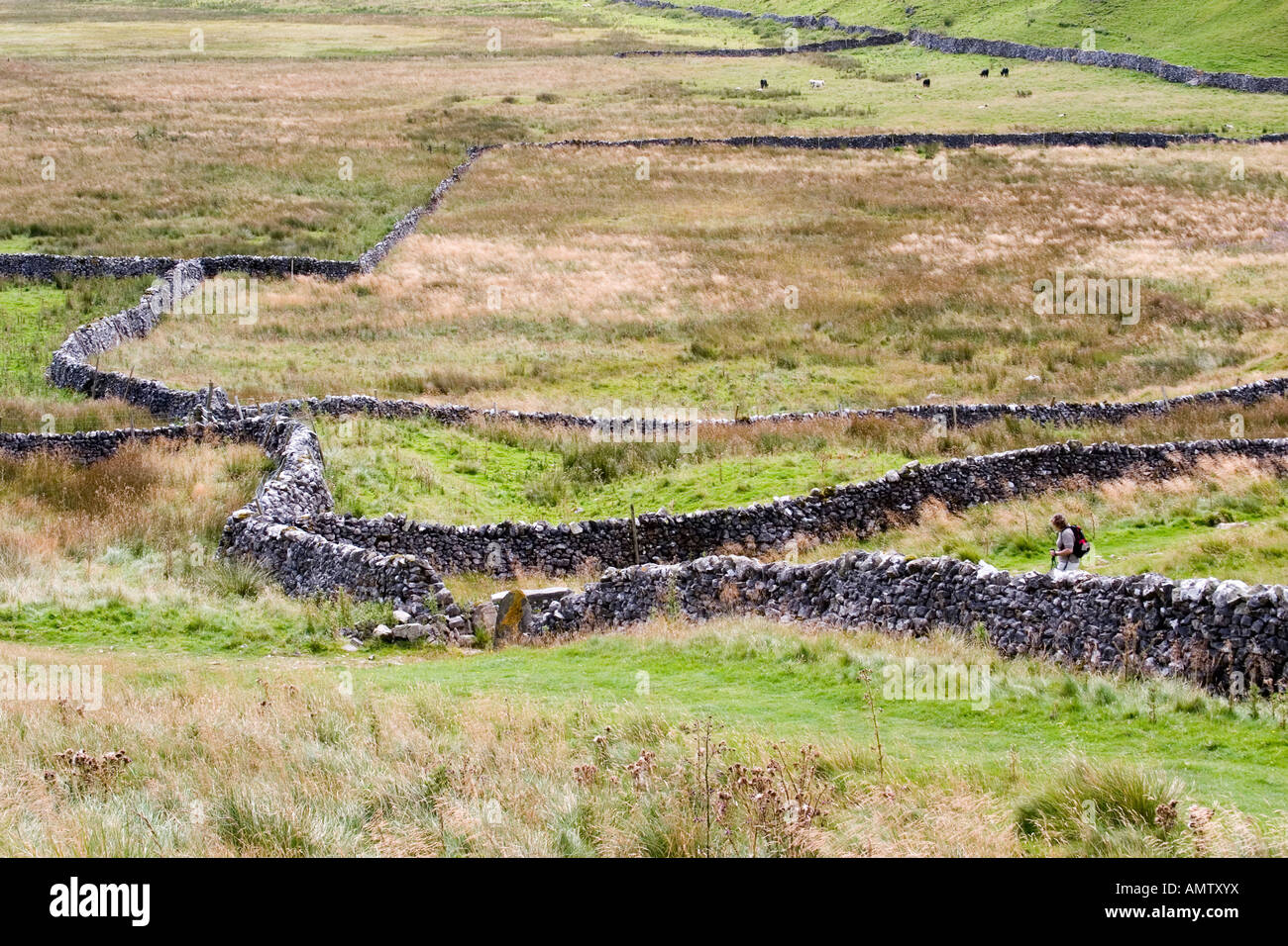 Yorkshire attermire scar hi-res stock photography and images - Alamy