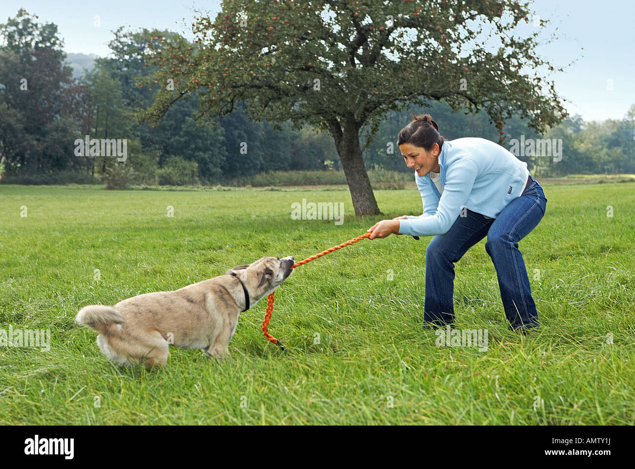 half breed dog and woman - playing Stock Photo - Alamy