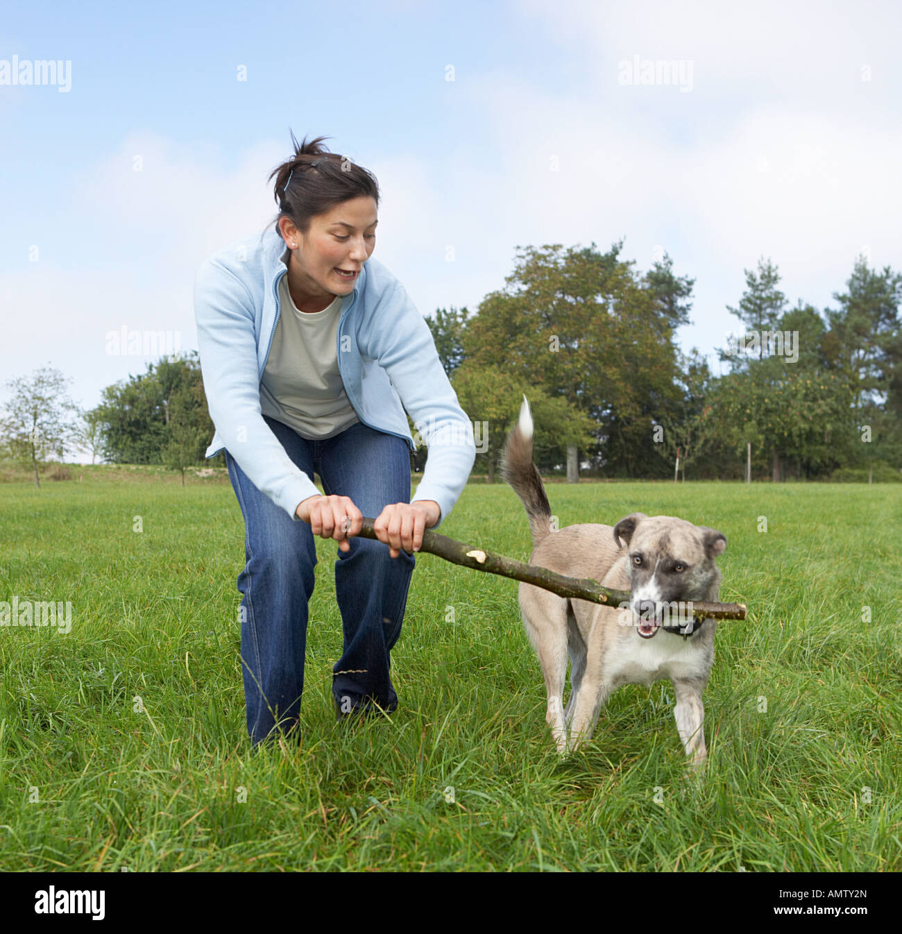 woman and half breed dog - playing Stock Photo - Alamy