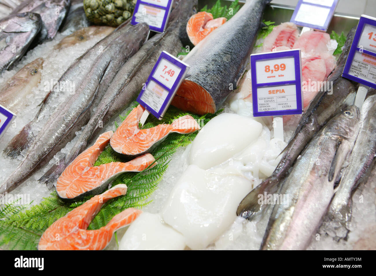 Fish, market, fish, travel, destinations, world, locations, towns ...