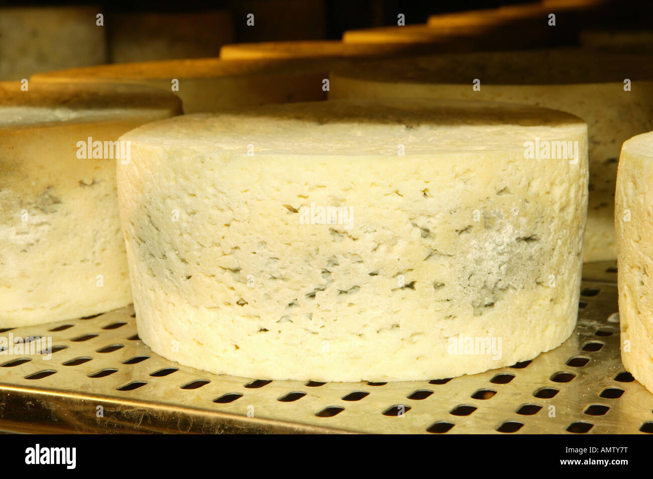 Cabrales hi-res stock photography and images - Alamy