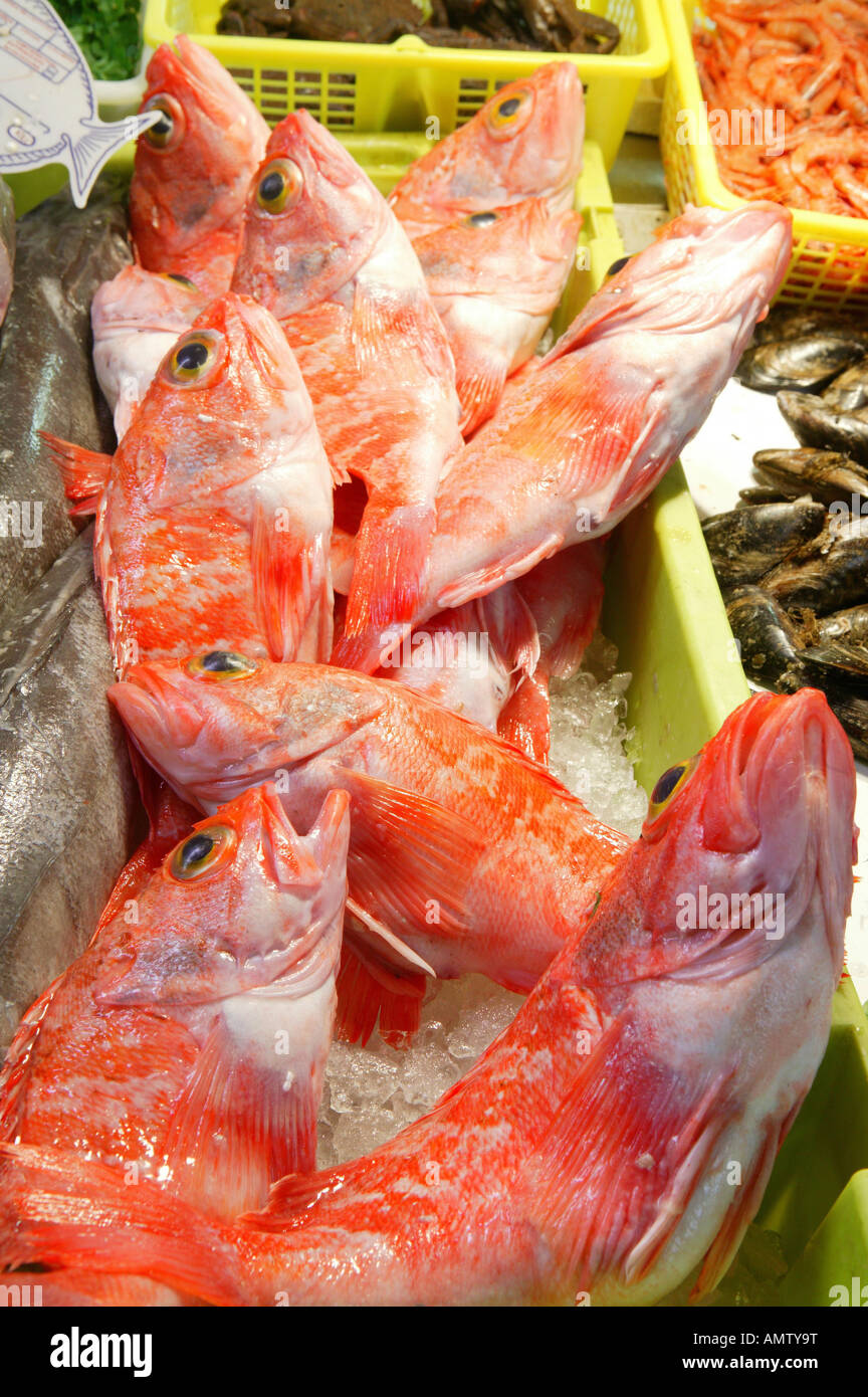 market, fish, fishing, food, edible, local produce, detail, background ...