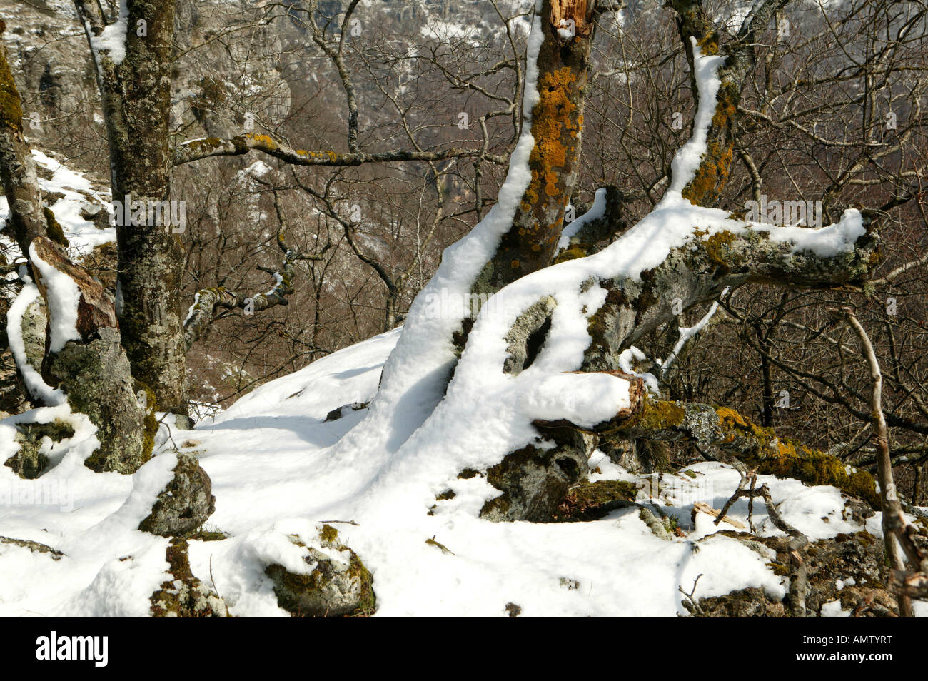 Pamplona spain winter hi-res stock photography and images - Alamy