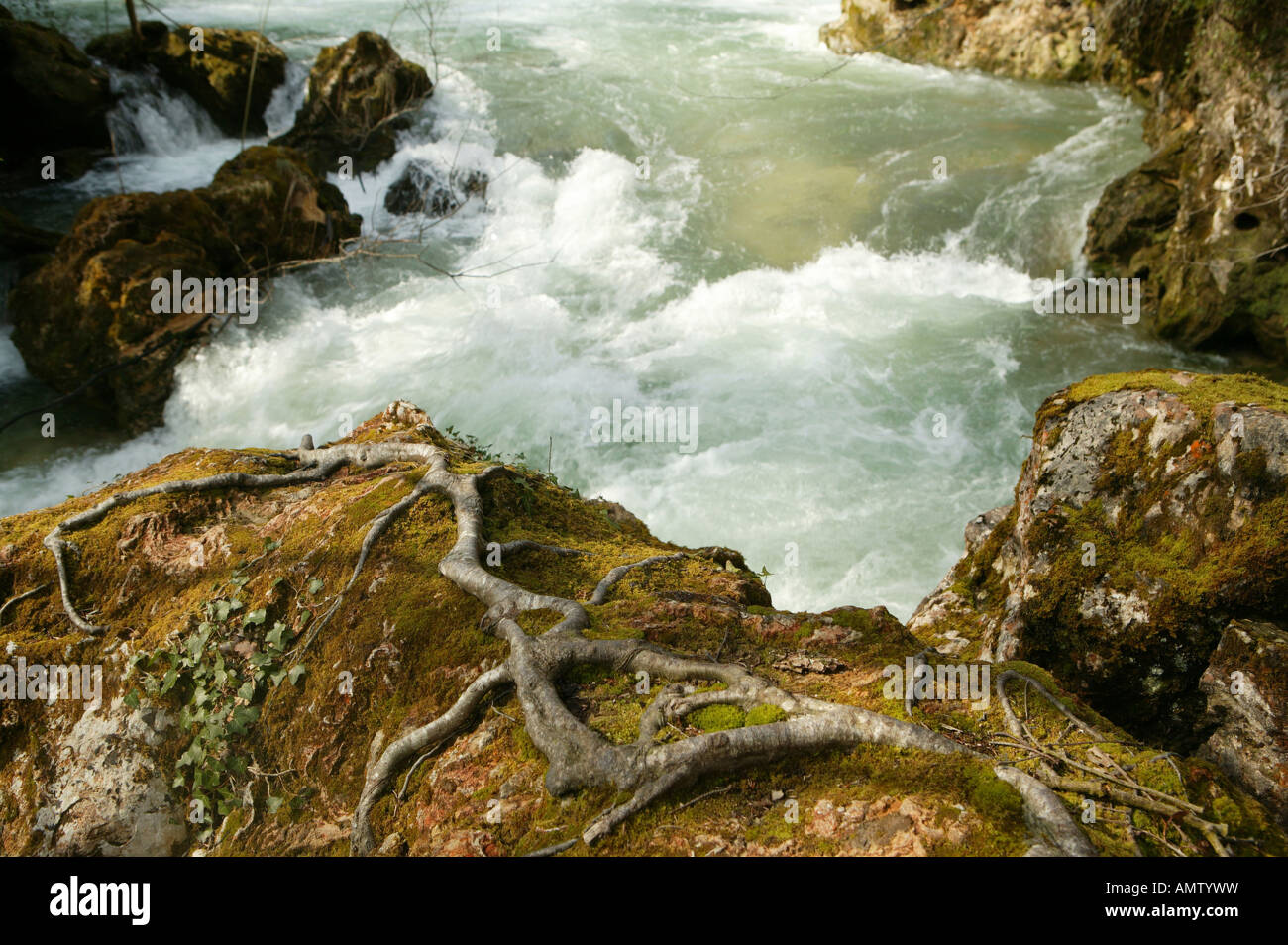 river, water, nature Stock Photo - Alamy
