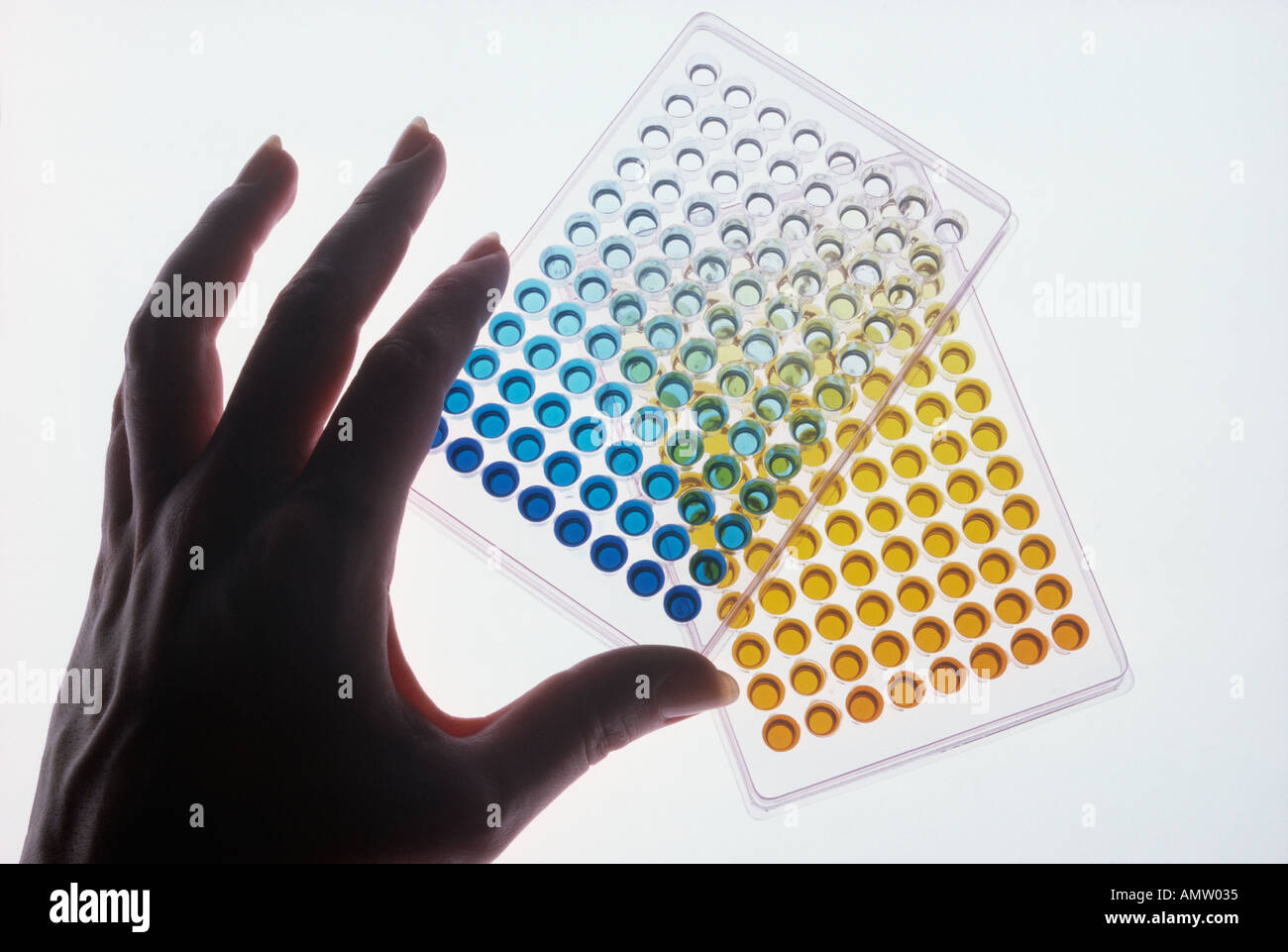 Female technicians hand holding titrated lab test samples on a white ...