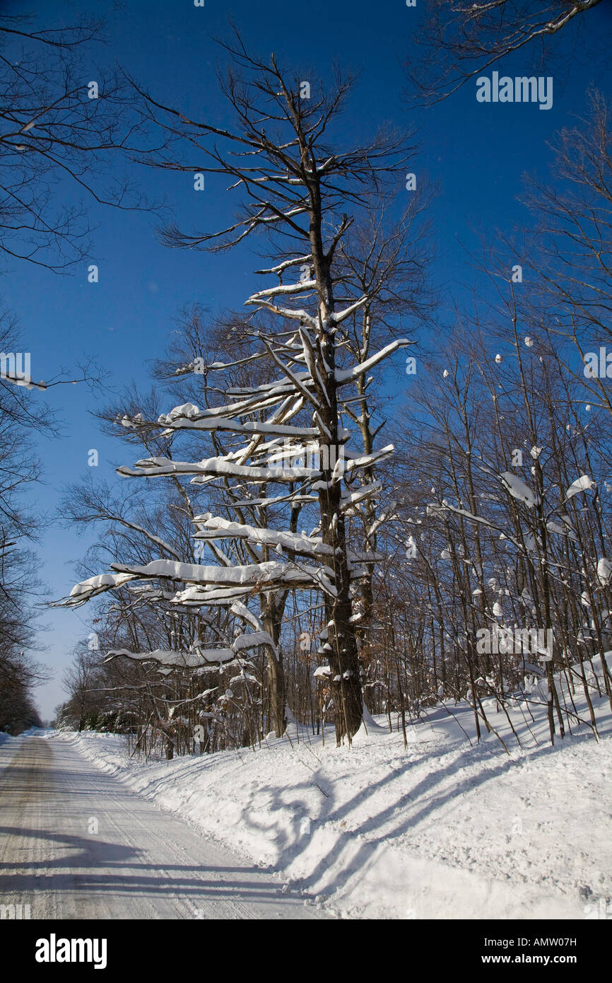 Country Road with blue Sky and snow typical Canadian Winter Scenes ...