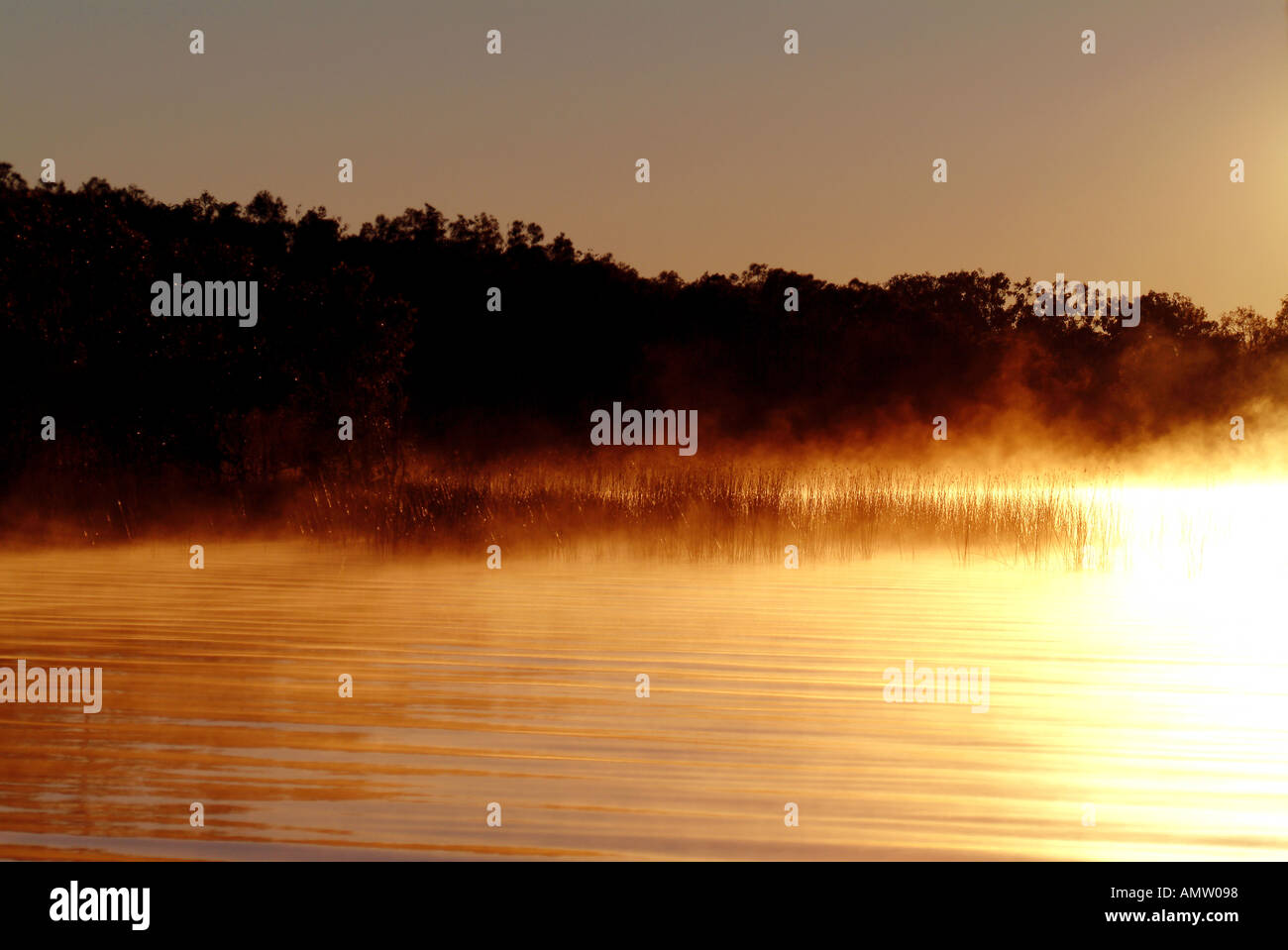 Lake cootharaba hi-res stock photography and images - Alamy